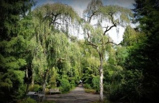 Divers assortiment treurvormen kopen