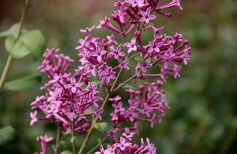 Sering kopen? Bekijk het assortiment!