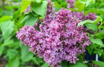 Sering kopen? Bekijk het assortiment!