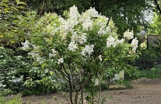 Sering kopen? Bekijk het assortiment!